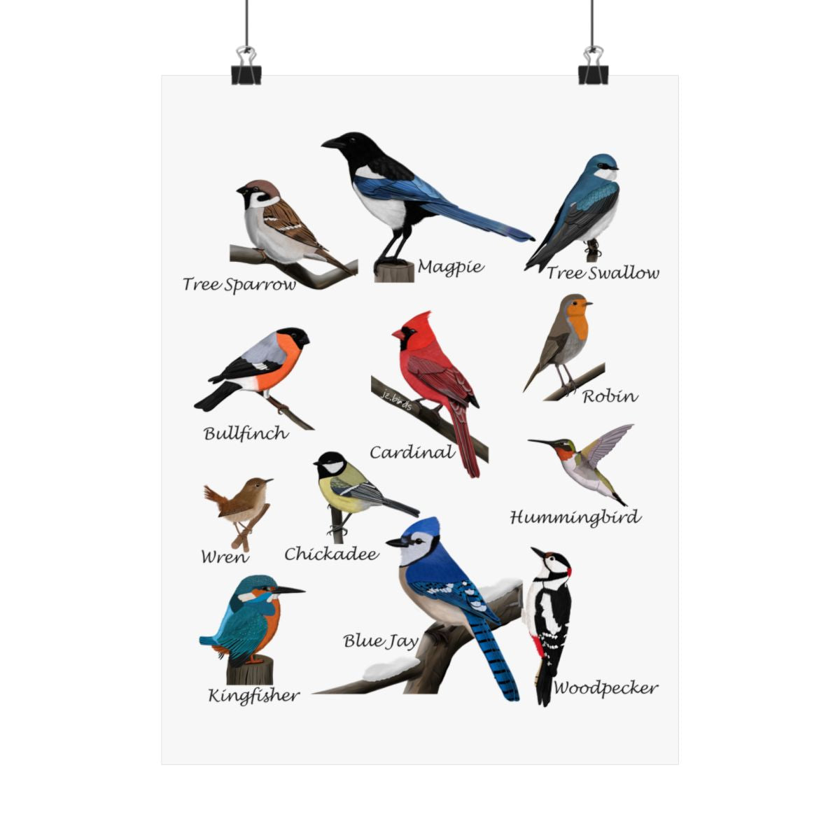 Bird Posters by jz.birds